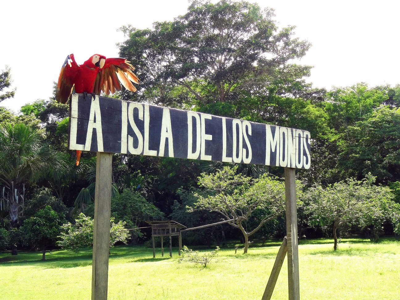 Lugar Turistico - ISLA DE LOS MONOS